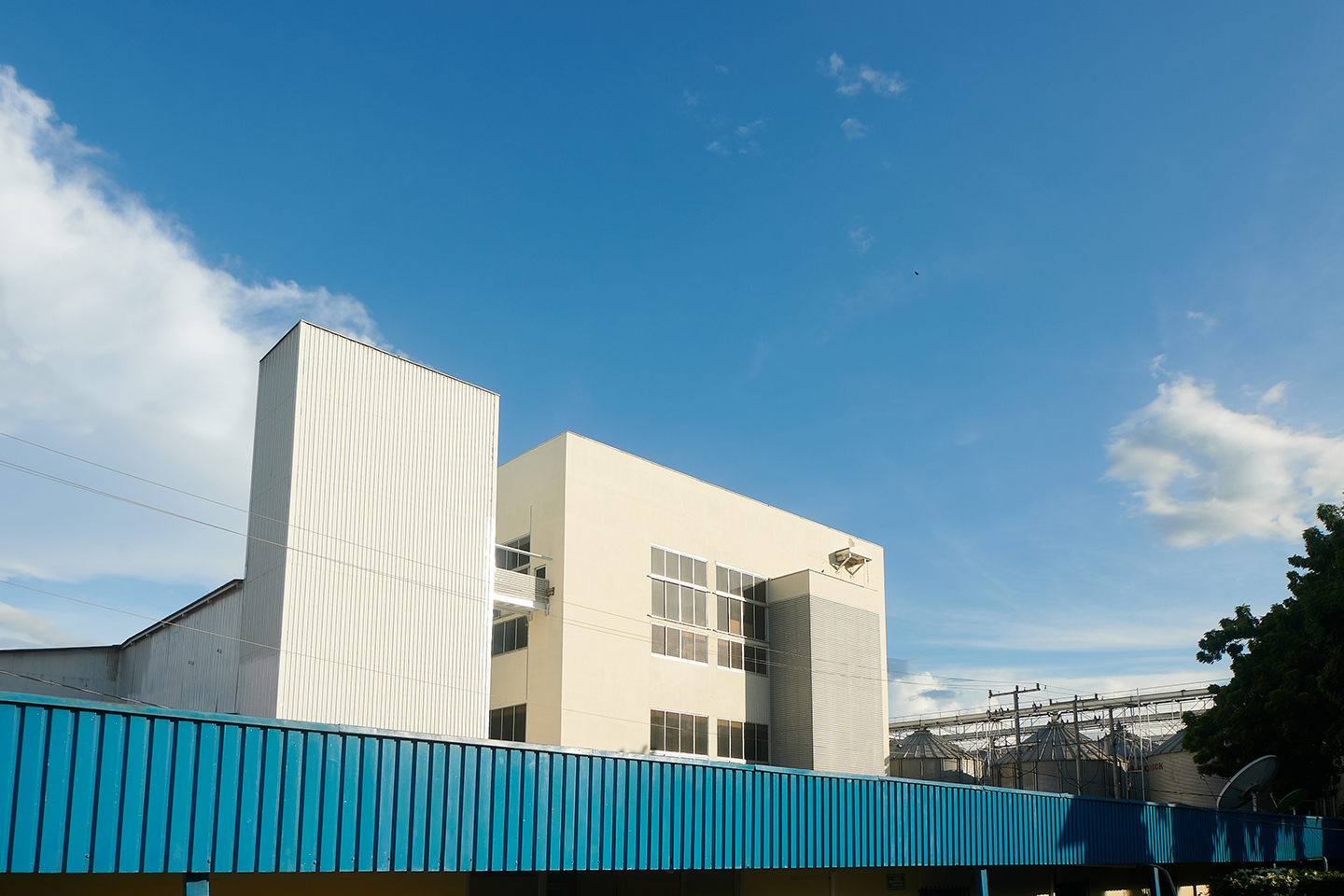 Nuestra Historia – Harinas Monisa